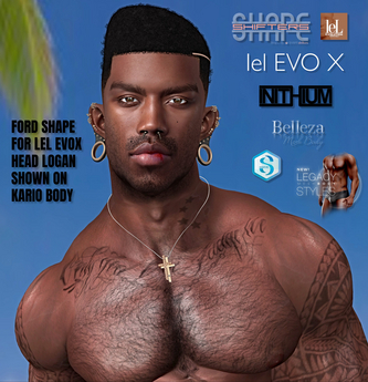 Second Life Marketplace - [SHAPEshifters] FORD SHAPE FOR LEL EVOX LOGAN ...